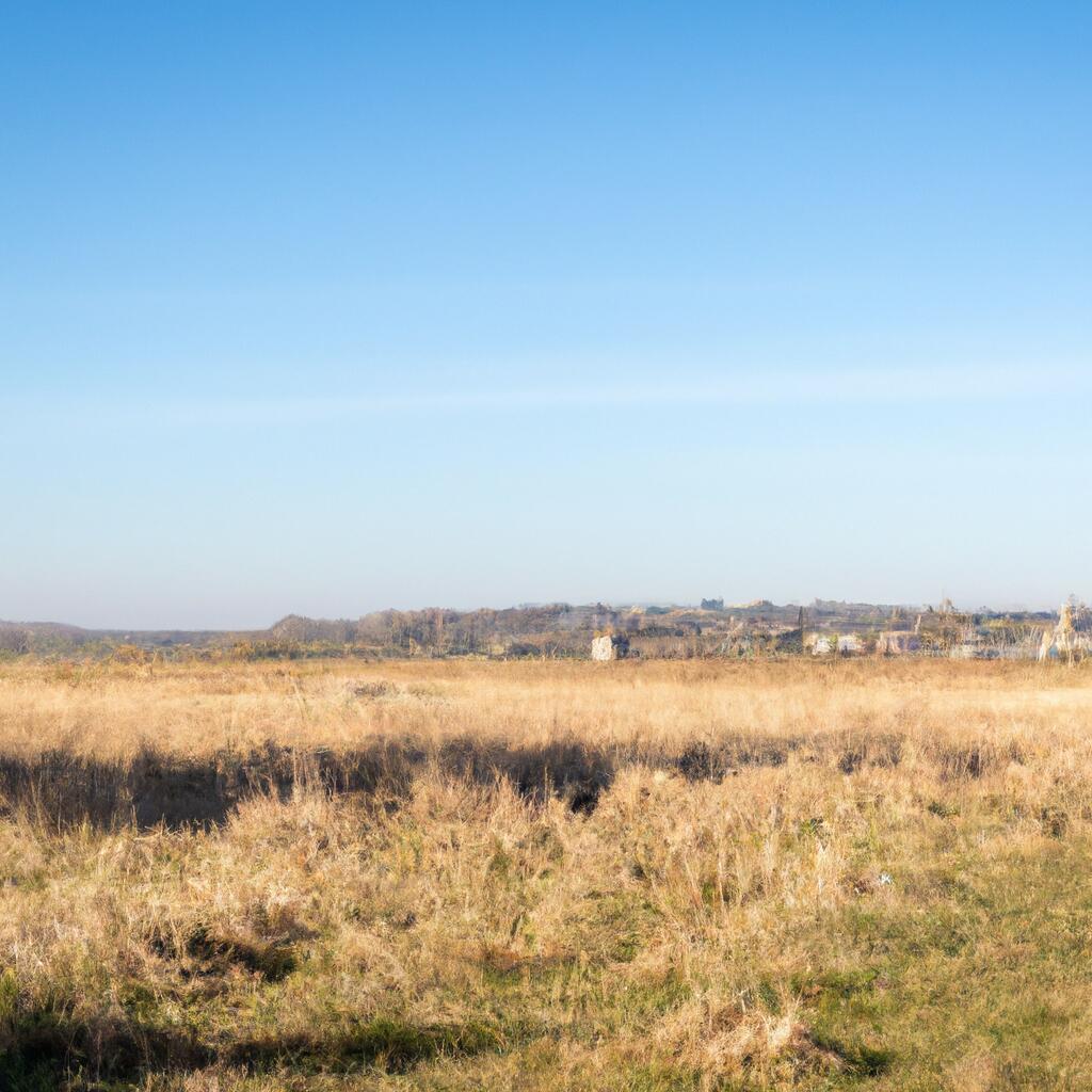 Sweet Grass Meadows, Hugo | Everything You Need to Know