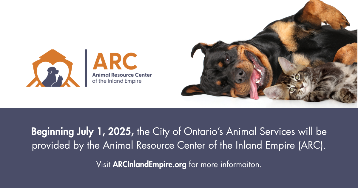 📣 Beginning July 1, 2025, the City’s Animal Services will be provided by the Animal Resource ...