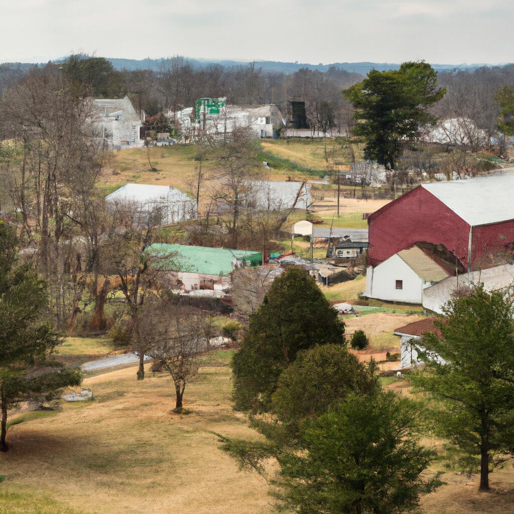 Evensville Farmers, Evensville | Everything You Need to Know Nextdoor
