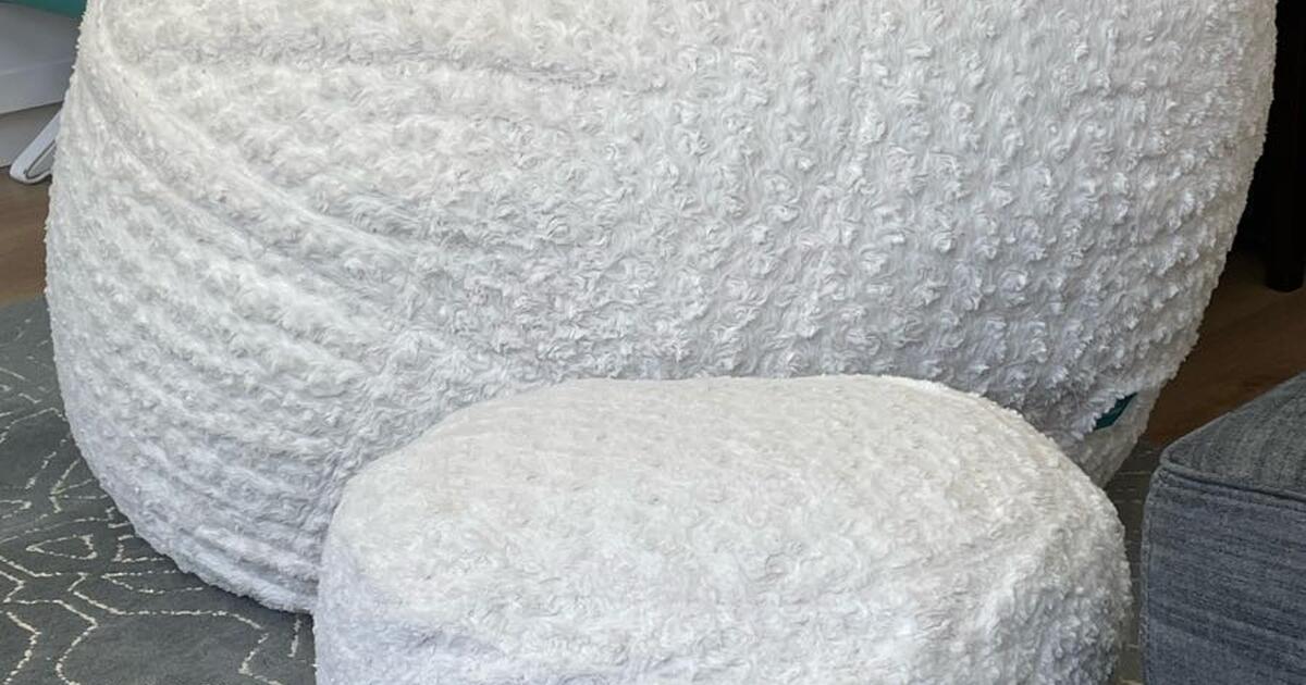 LOVESAC Citysac and Squattoman in Alpine Swirl for $200 in Eugene, OR ...