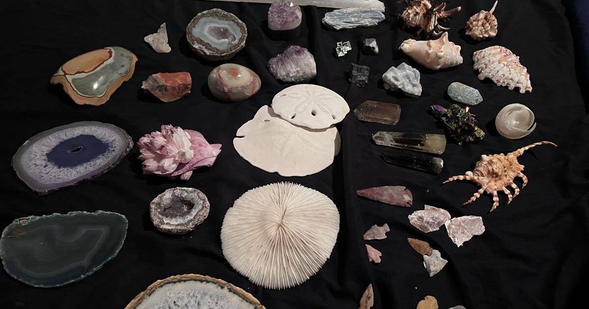 Rock, arrowhead, seashell collection for $25 in Carrollton, TX | For ...