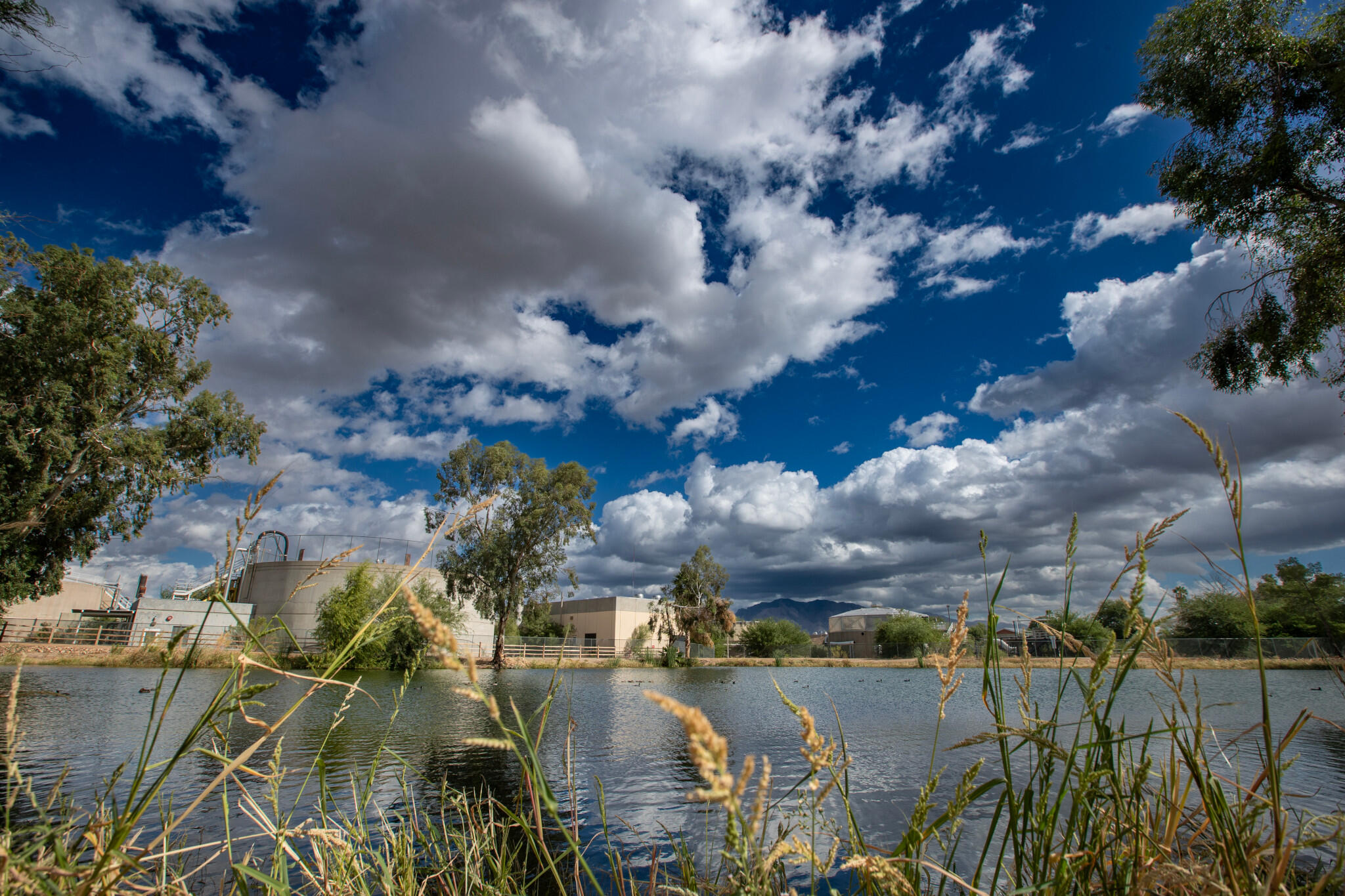 Pima County Wastewater Reclamation is seeking your input! (Pima County ...