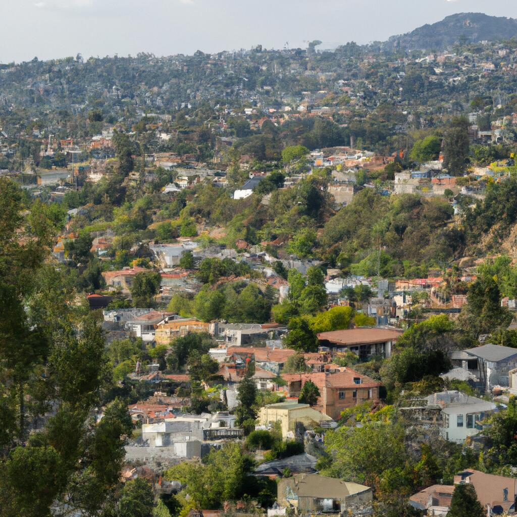 Montecito Heights, Los Angeles | Everything You Need to Know