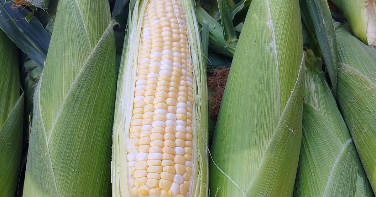 Van Dyke Farms for $1 in Hillsboro, OR | For Sale & Free — Nextdoor