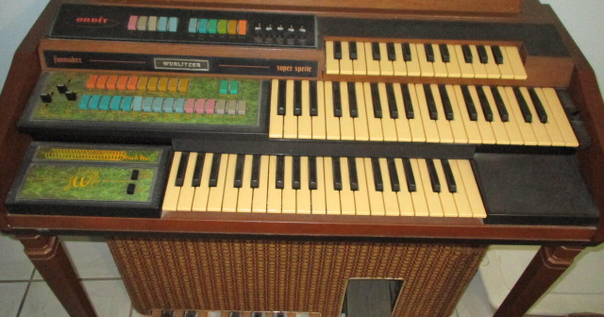 Musical Instrument for $30 in Sun City Center, FL | For Sale & Free ...