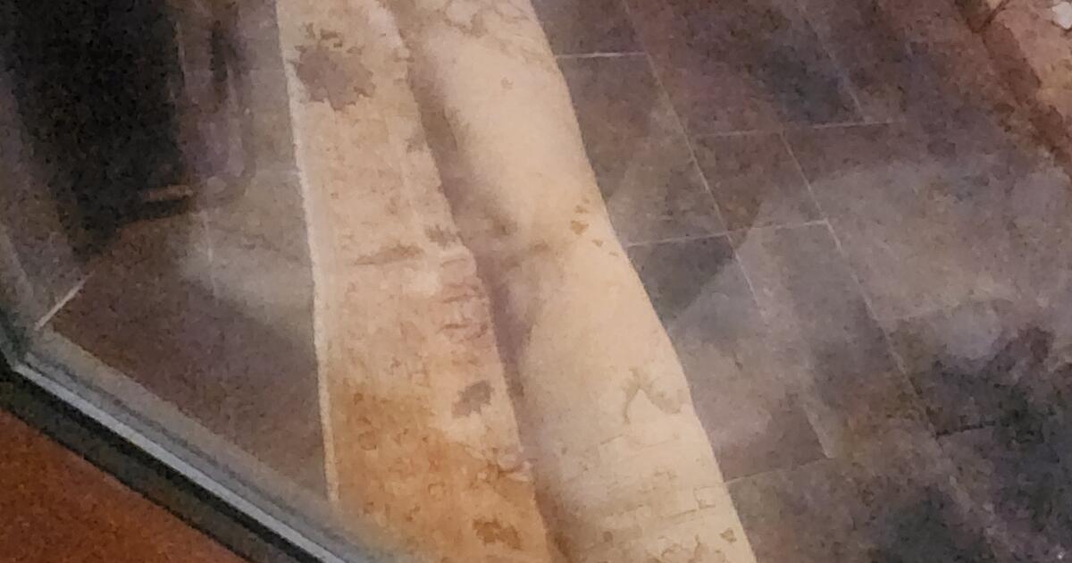 Large Rolled Rug for Free in Magnolia, TX | For Sale & Free — Nextdoor