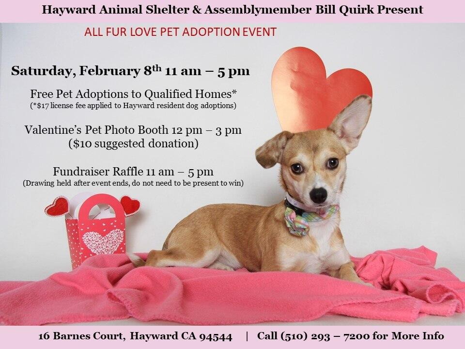 All Fur Love Pet Adoption Event (City of Hayward) — Nextdoor — Nextdoor
