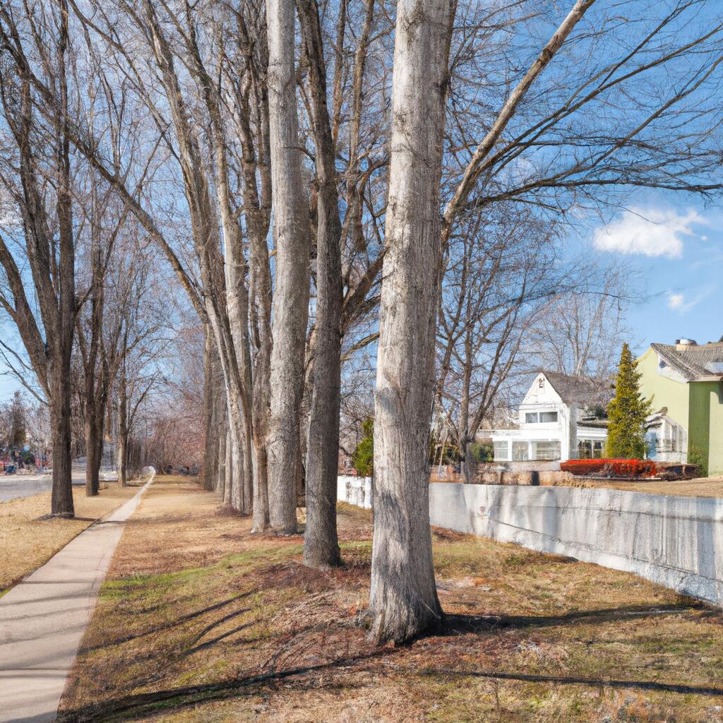 Kville, Kentwood | Everything You Need to Know