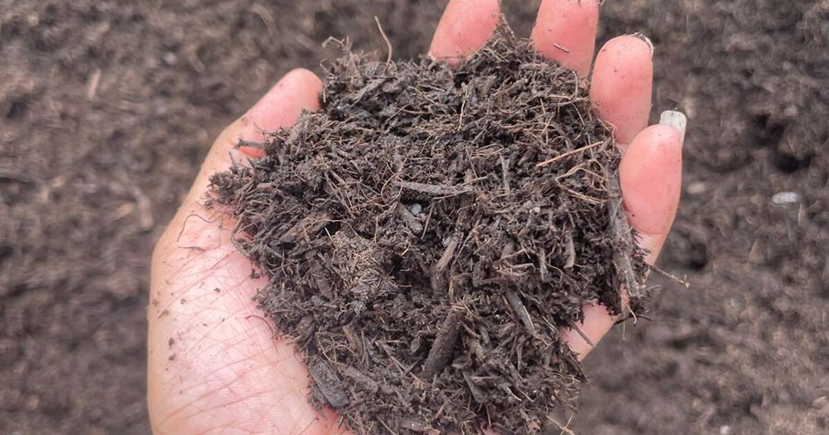 Hawaiian Organic Soil-Black gold for Free in Keaau, HI | For Sale ...