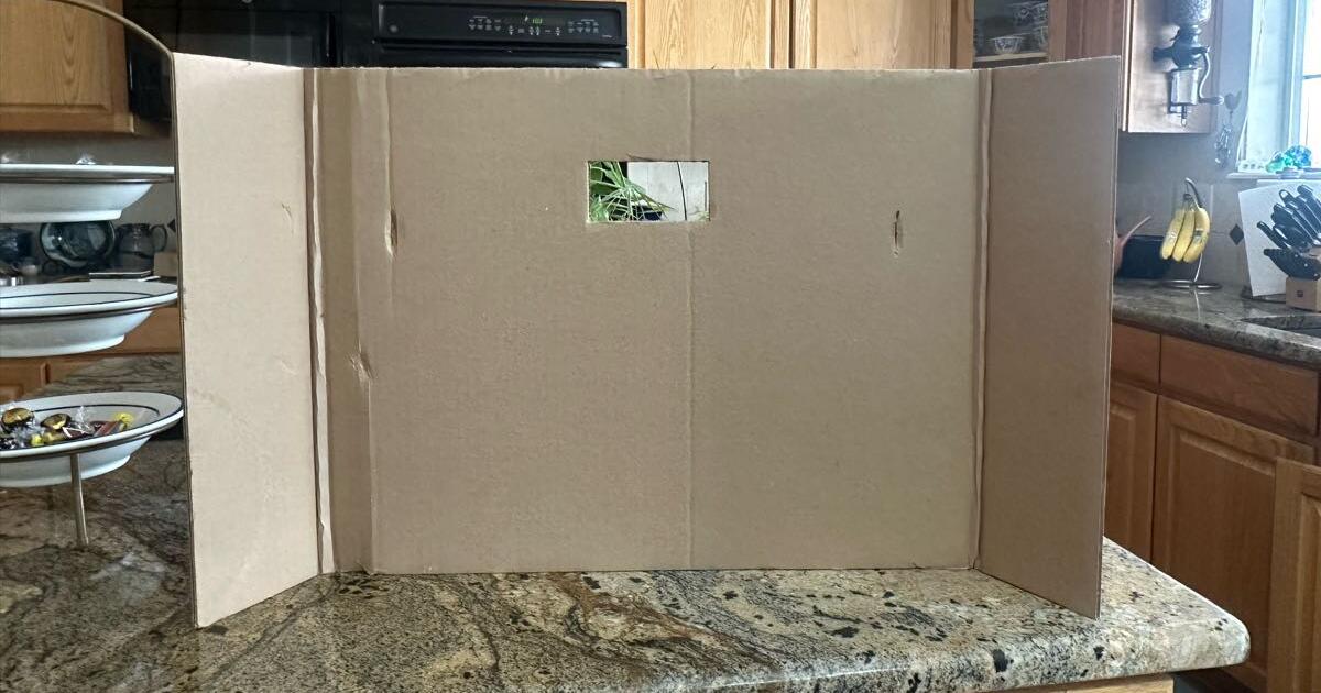 4 Project Display Boards for Free in Superior, CO | For Sale & Free ...