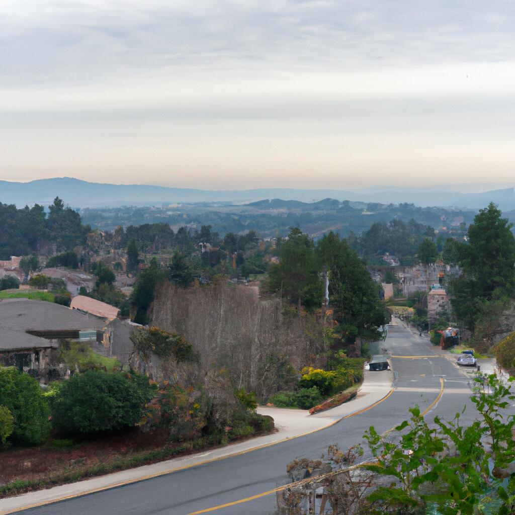 Covington, Los Altos | Everything You Need to Know
