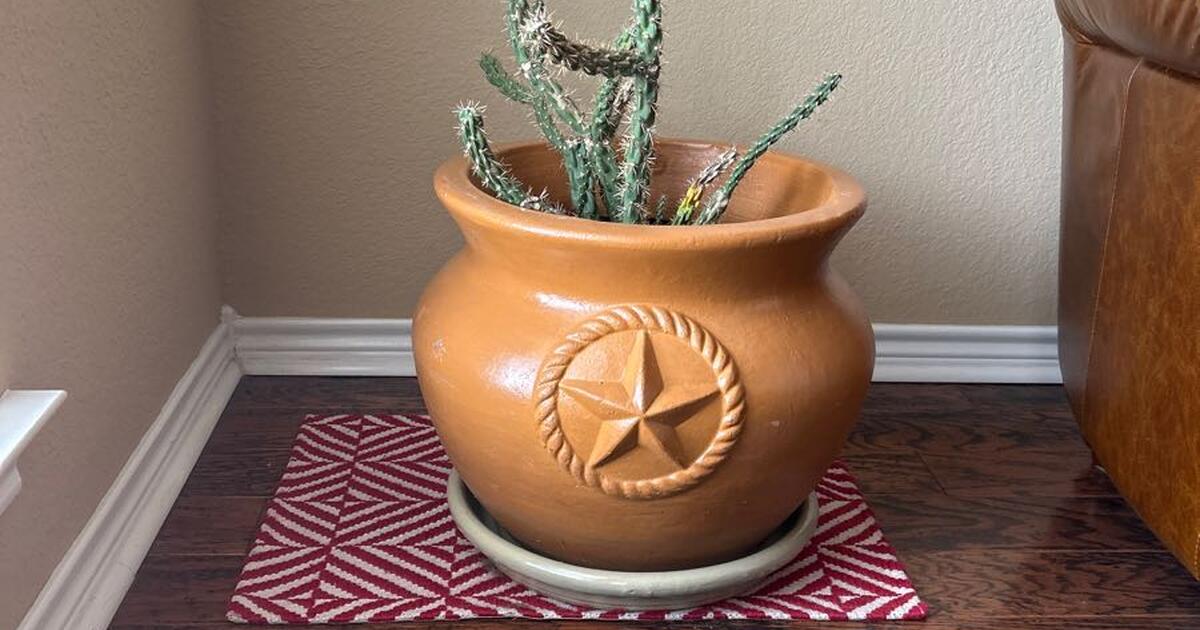 Beautiful Heavy Texas pot with Cactus for $40 in Granbury, TX | For ...