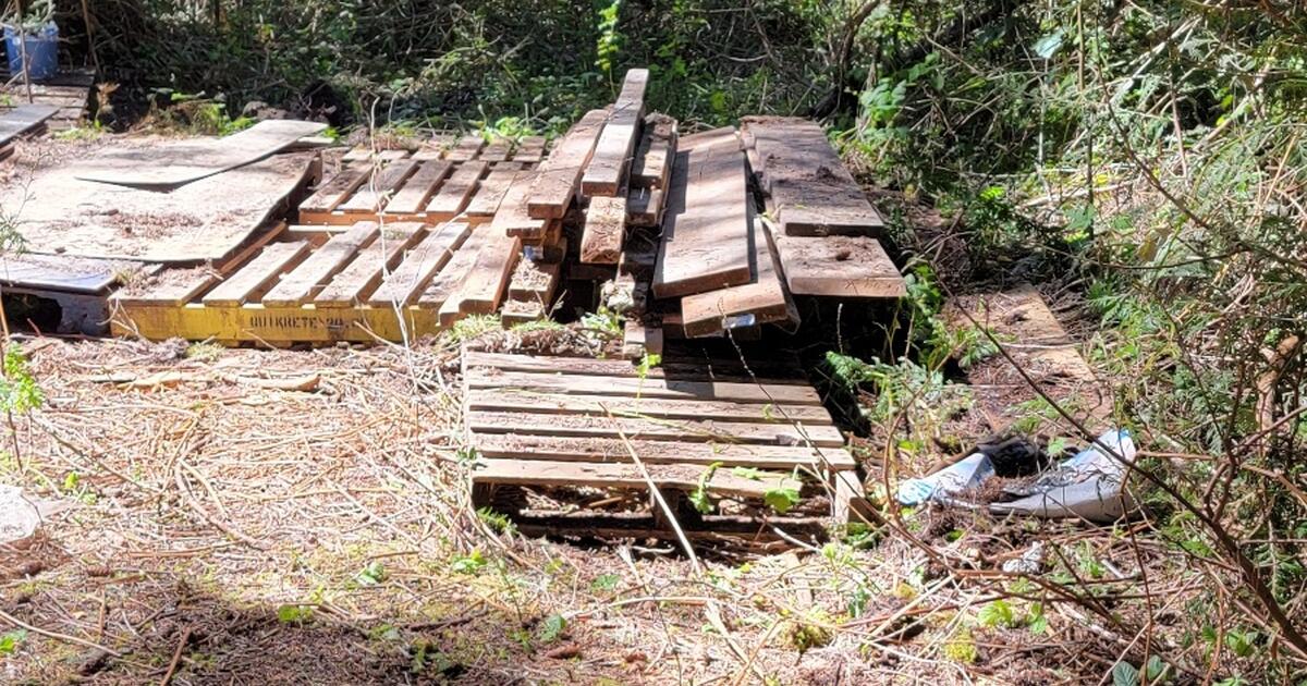 FREE - lumber - newest update !!! for Free in Olympia, WA | For Sale ...