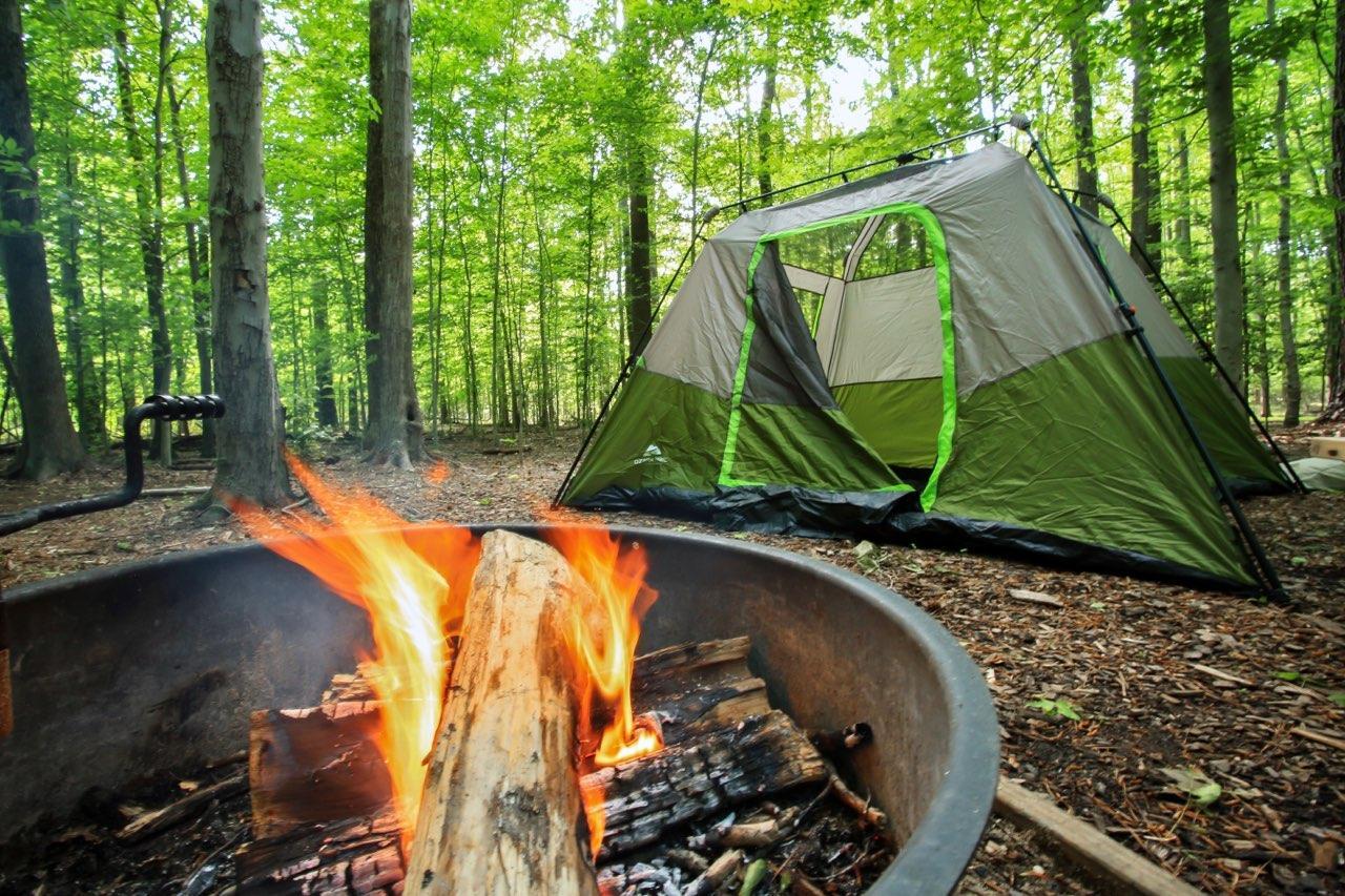 Camping Reopening at Patuxent River Park and Watkins Regional Park ...
