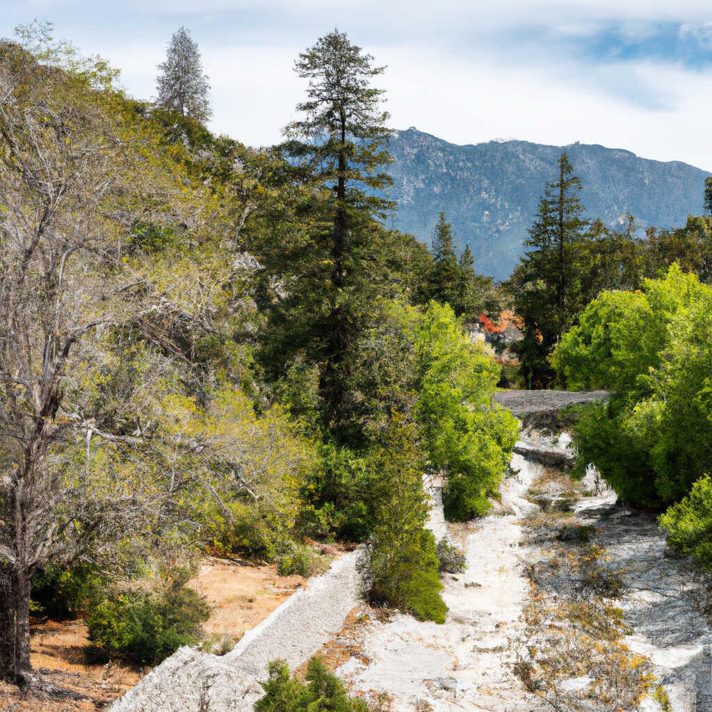 Boulder Creek, CA | News, Crime, Lost Pets, Free Stuff