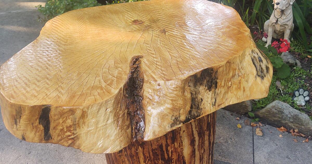 Live Edge Ruff Cut Adirondack Style Tables for $80 in Orchard Park, NY ...