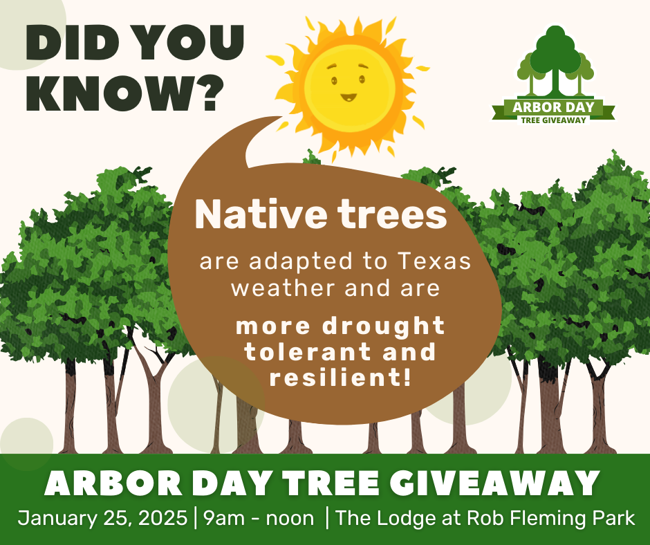 Did you know that native trees🌳 are drought tolerant, use less water💧 ...
