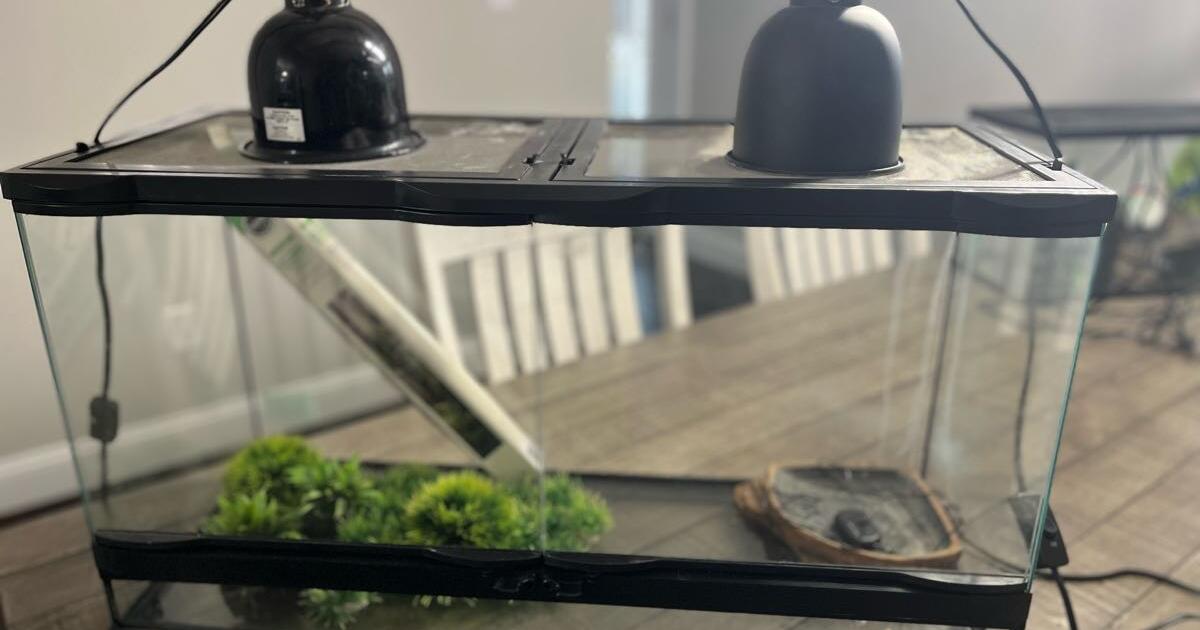 Zoo Med Reptile Tanks ( 40g Naturalistic Terrarium) + turtle tank for ...