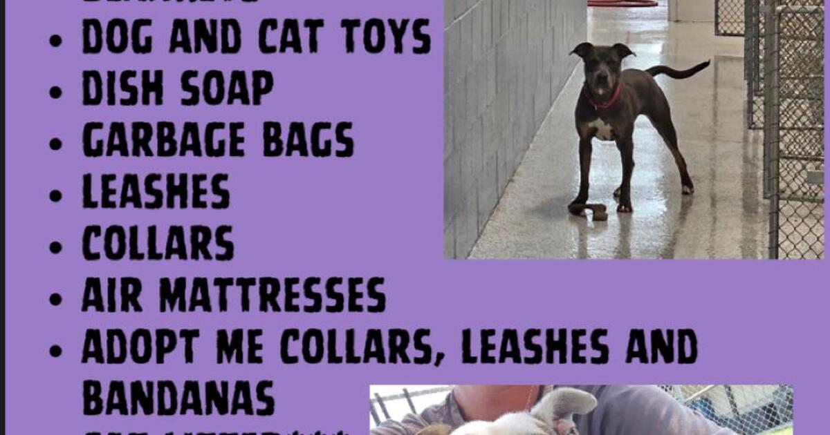 Wanted: Pet supplies for Free in St. Simons Island, GA | For Sale ...