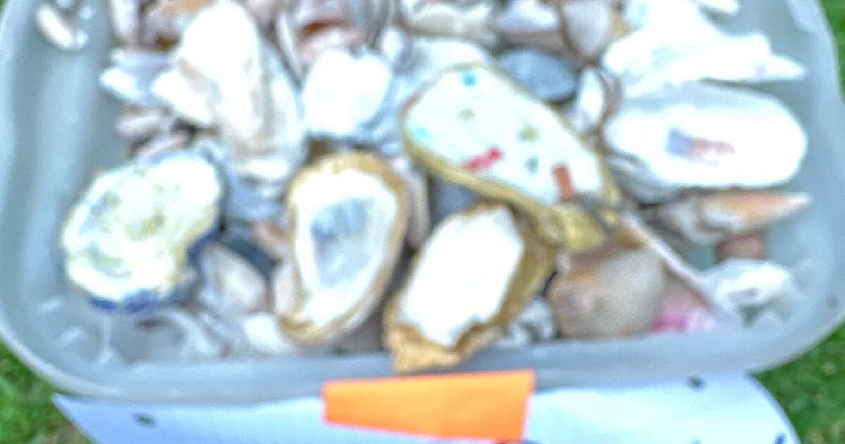 FREE Large container of oyster shells for Free in Decatur, GA | For ...