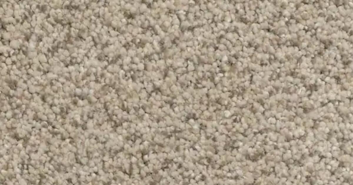 Beige Carpet, aka Soft Breath II/Fawn Creek for $1000 in Little Rock, AR | For Sale & Free ...