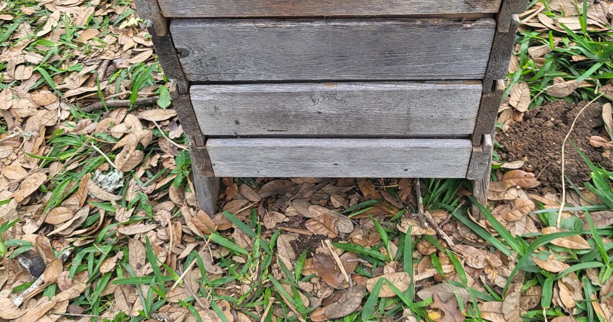 Worm Casting Box for $15 in San Antonio, TX | For Sale & Free — Nextdoor