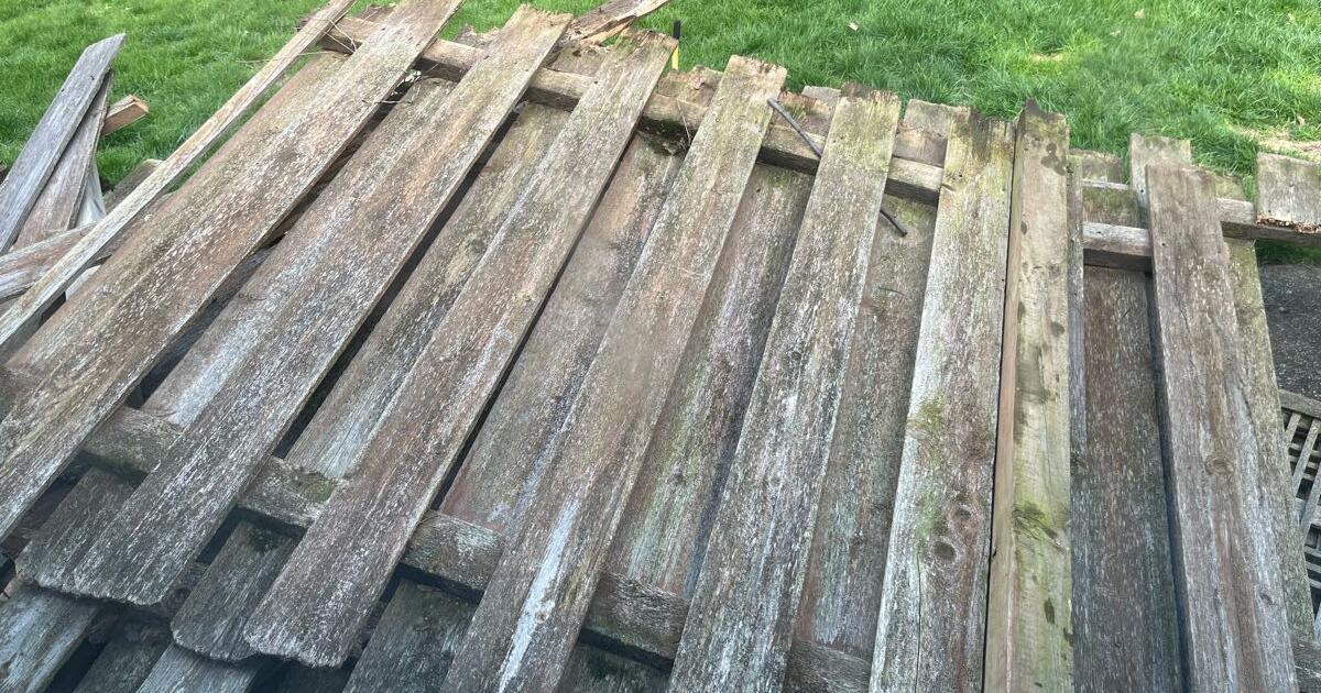 Cedar Wooden fence sections for Free in St. Paul, MN | For Sale & Free ...