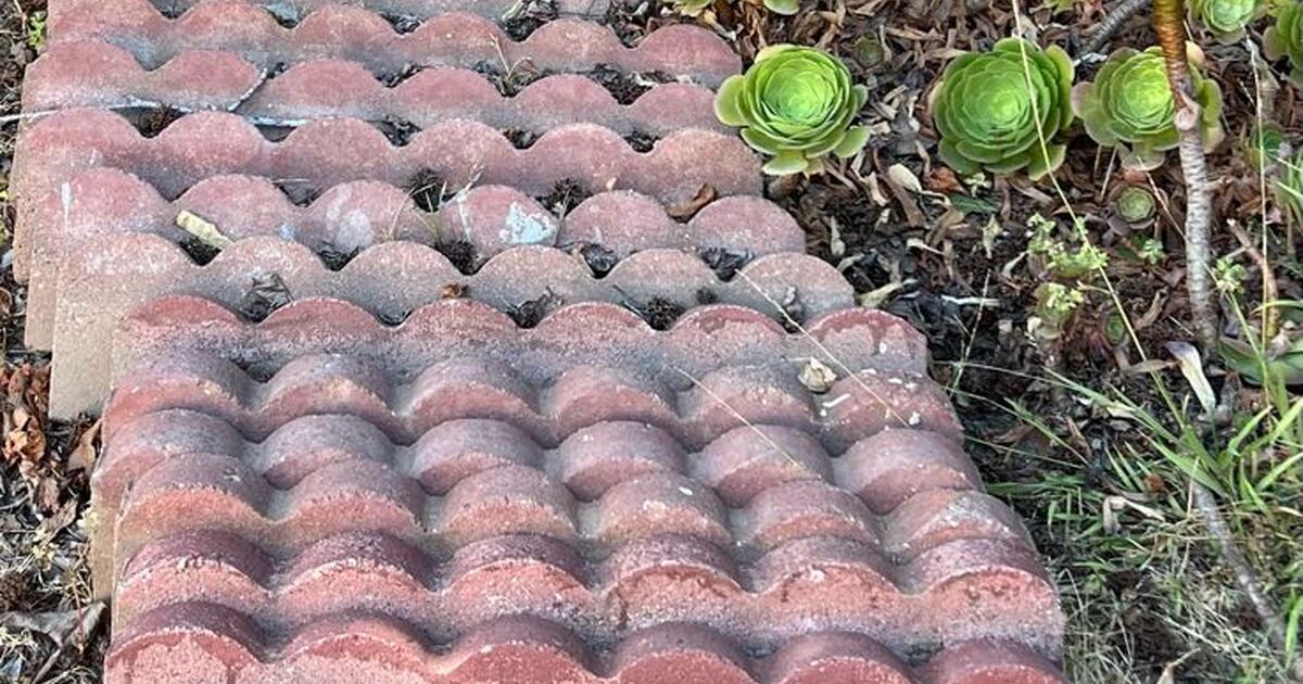 Red Concrete Garden Edging Bricks for $35 in Santa Maria, CA | For Sale ...