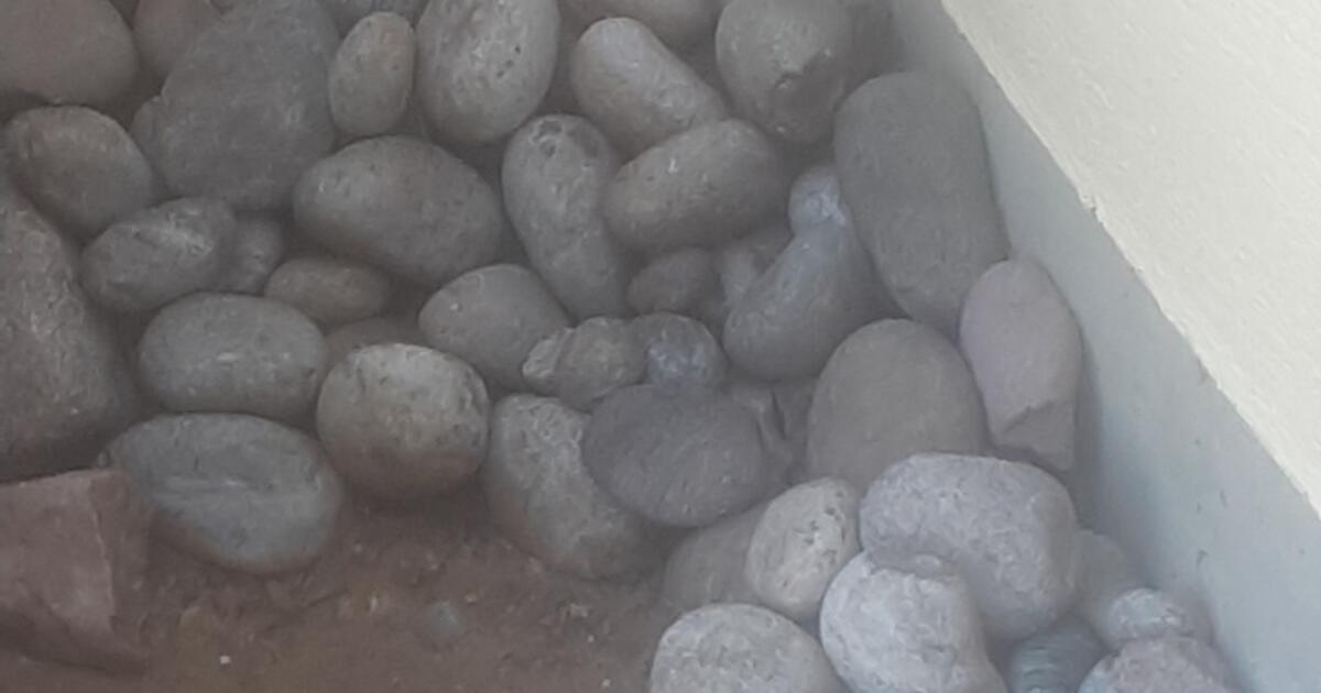 Free rocks for Free in Highlands Ranch, CO | For Sale & Free — Nextdoor