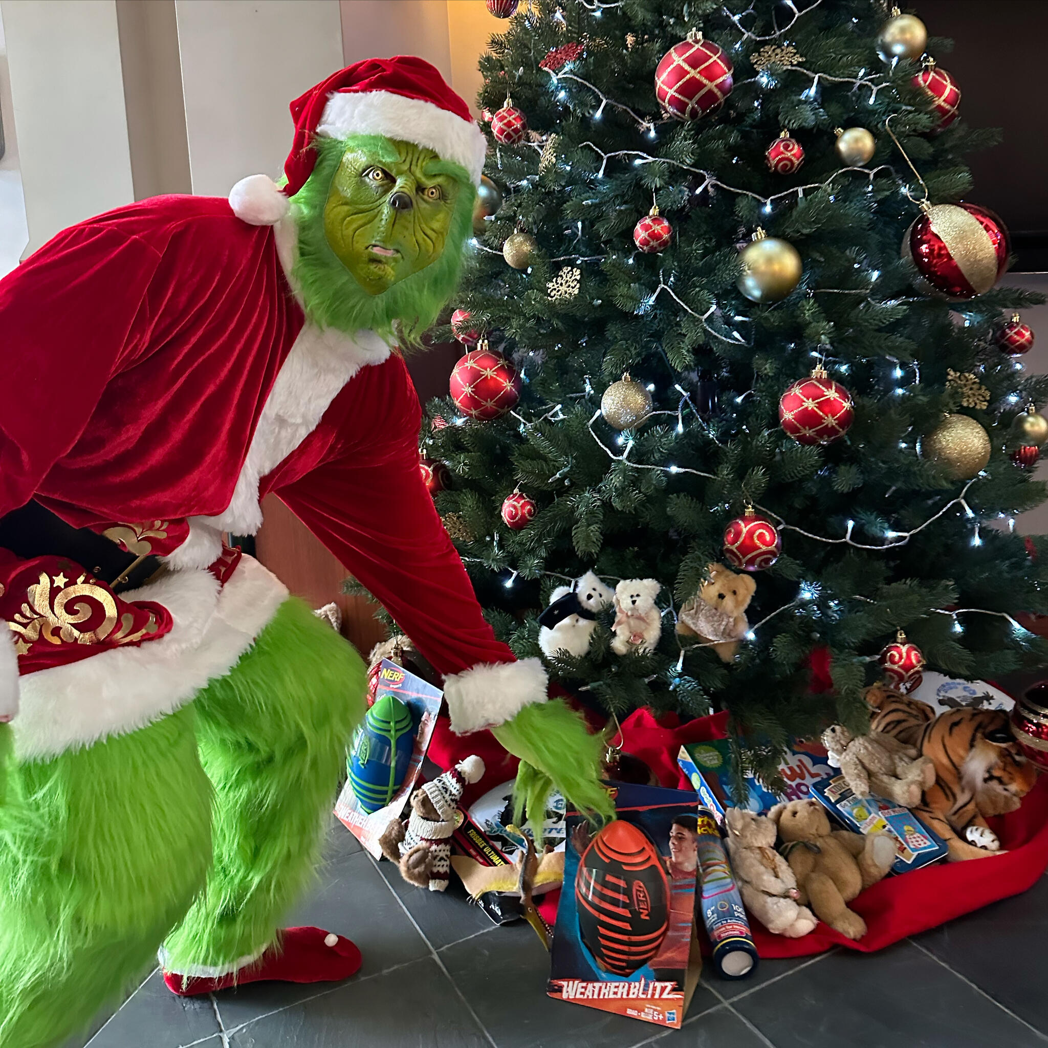 Be On The Lookout: The Grinch has been spotted trying to impersonate ...