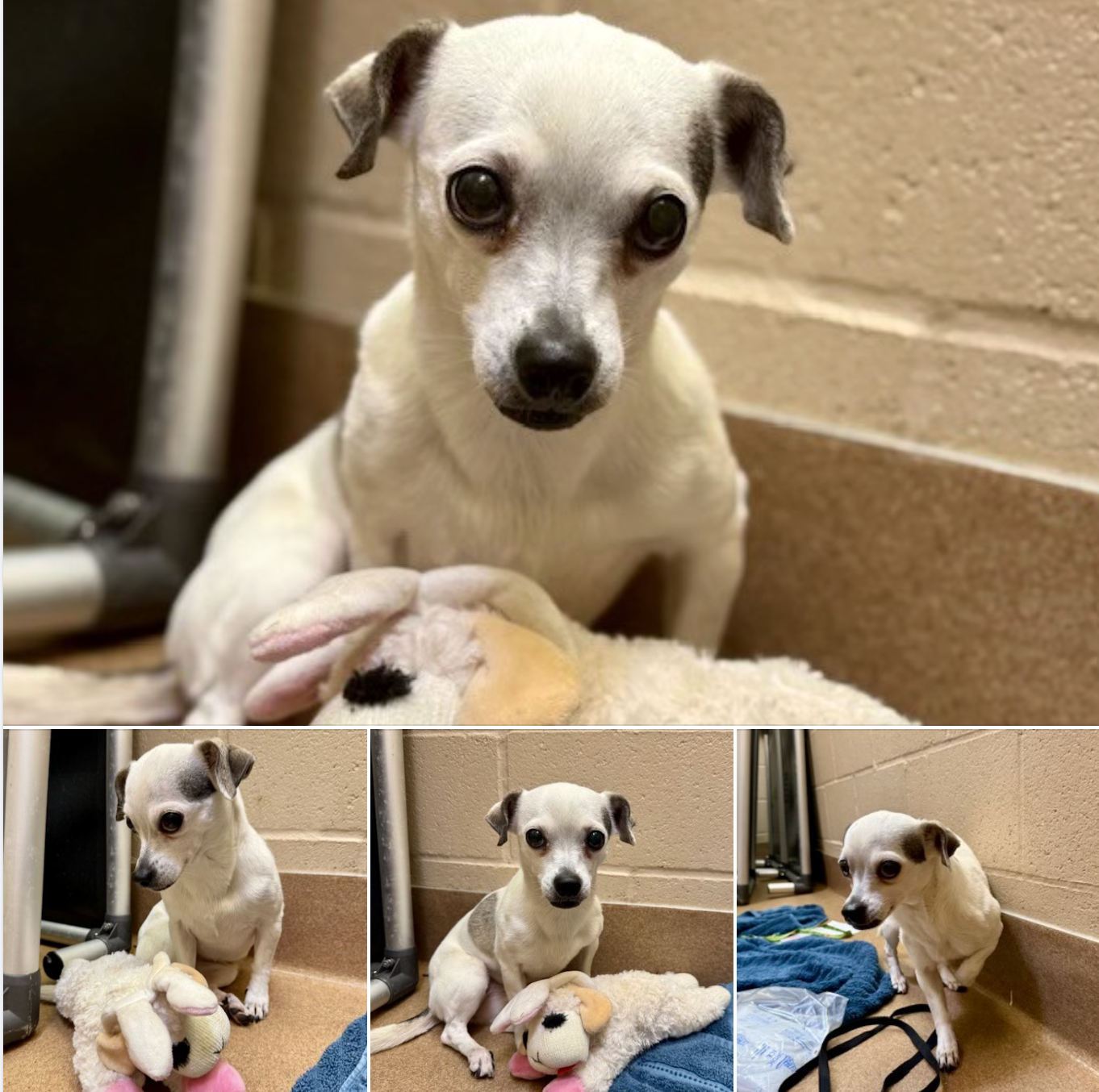 undefined - Nextdoor