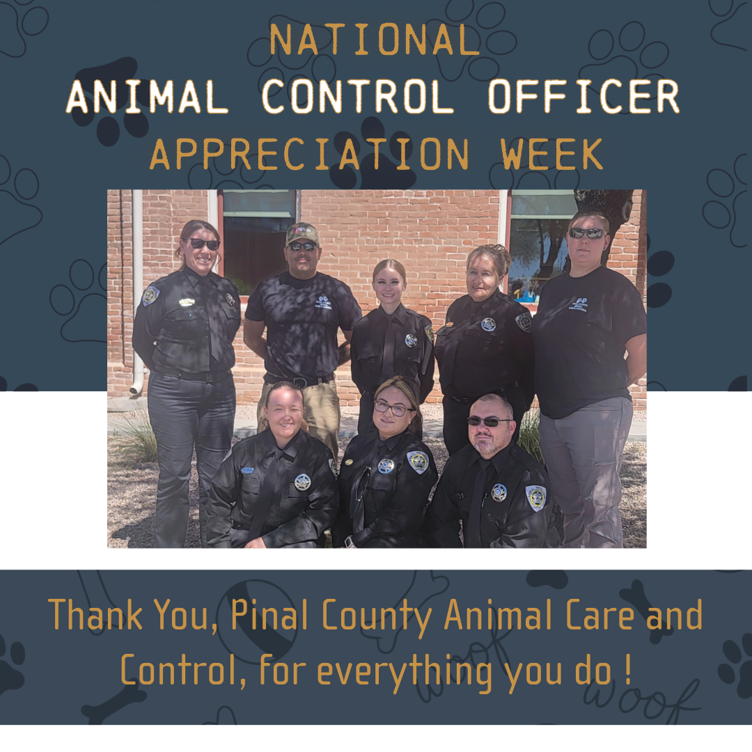 🐾 Celebrating National Animal Control Officer Appreciation Week! (Eloy ...