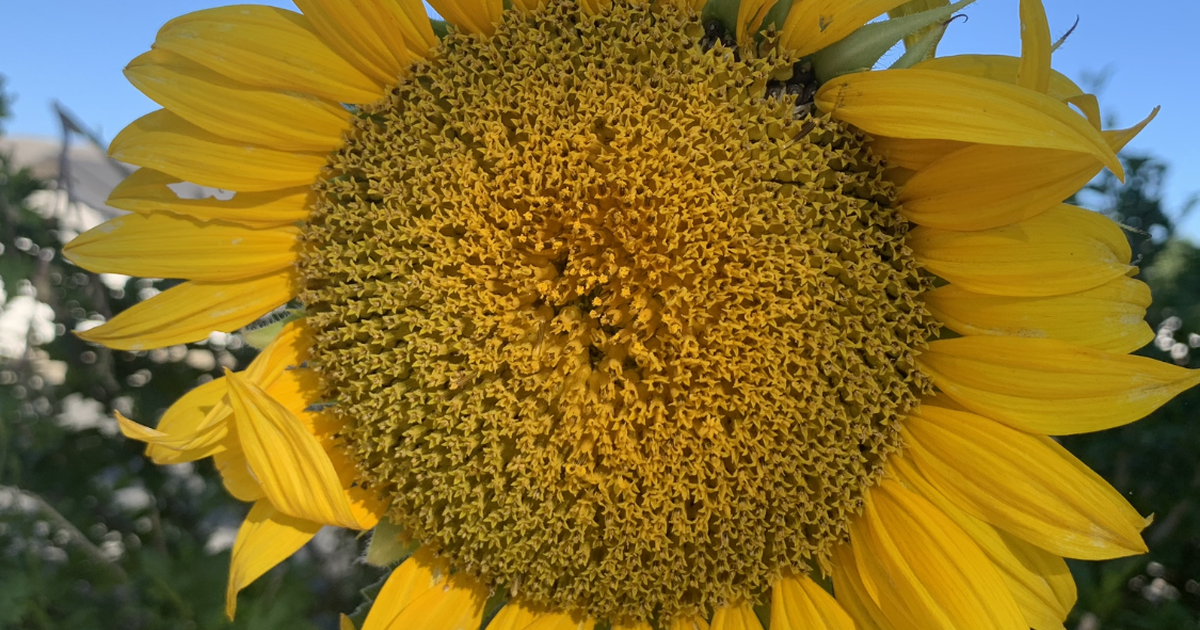 Receiptionist Needed for Free in Sparks, NV | Finds — Nextdoor