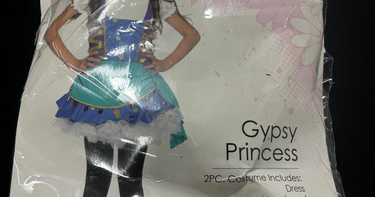 Halloween Costume: Girls Enchanted Gypsy Princess Size Medium 7-10 for ...