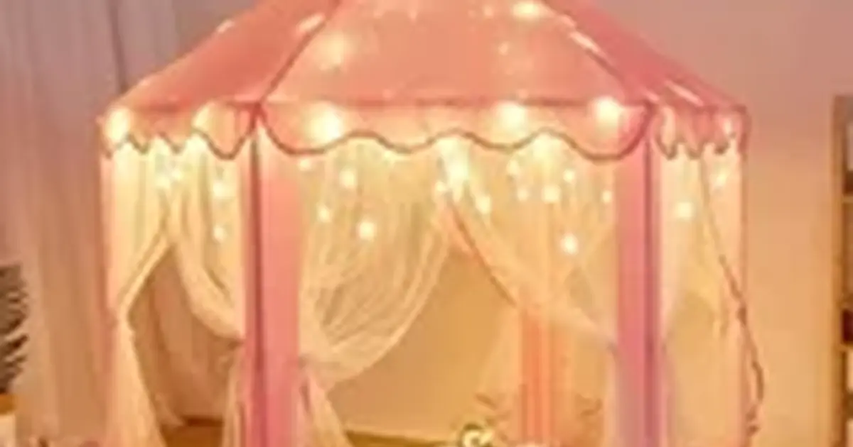 Pink Princess Play Tent with Lights for Free in Sacramento, CA | For ...