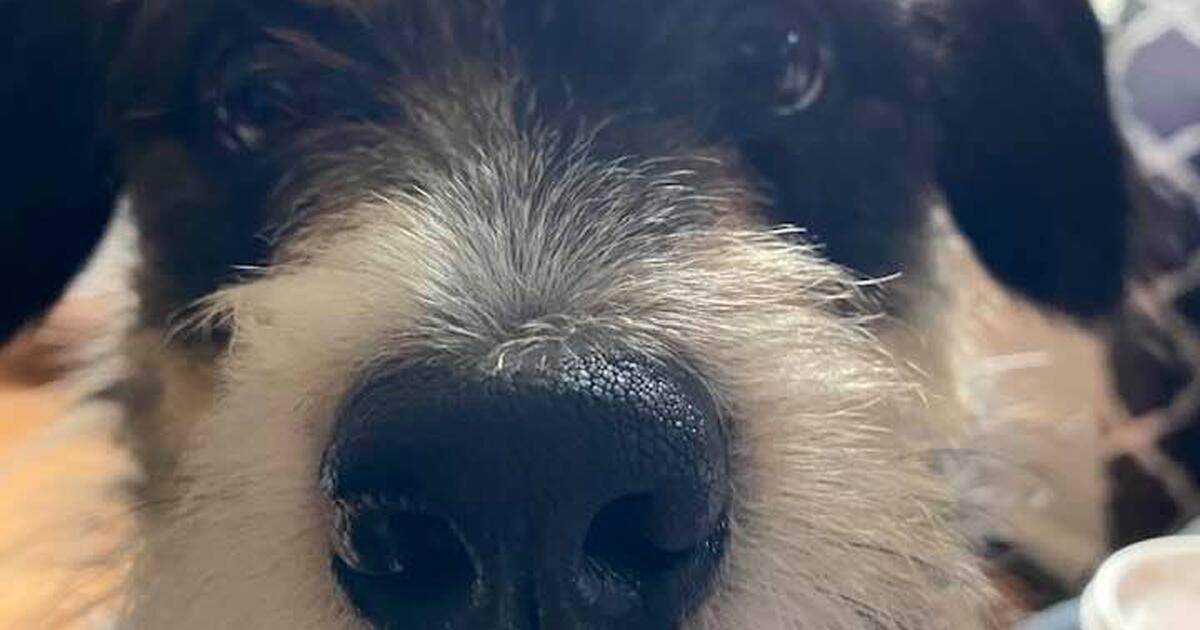 ISO van $2k needs to be reliable please. in Shawnee, KS | For Sale ...