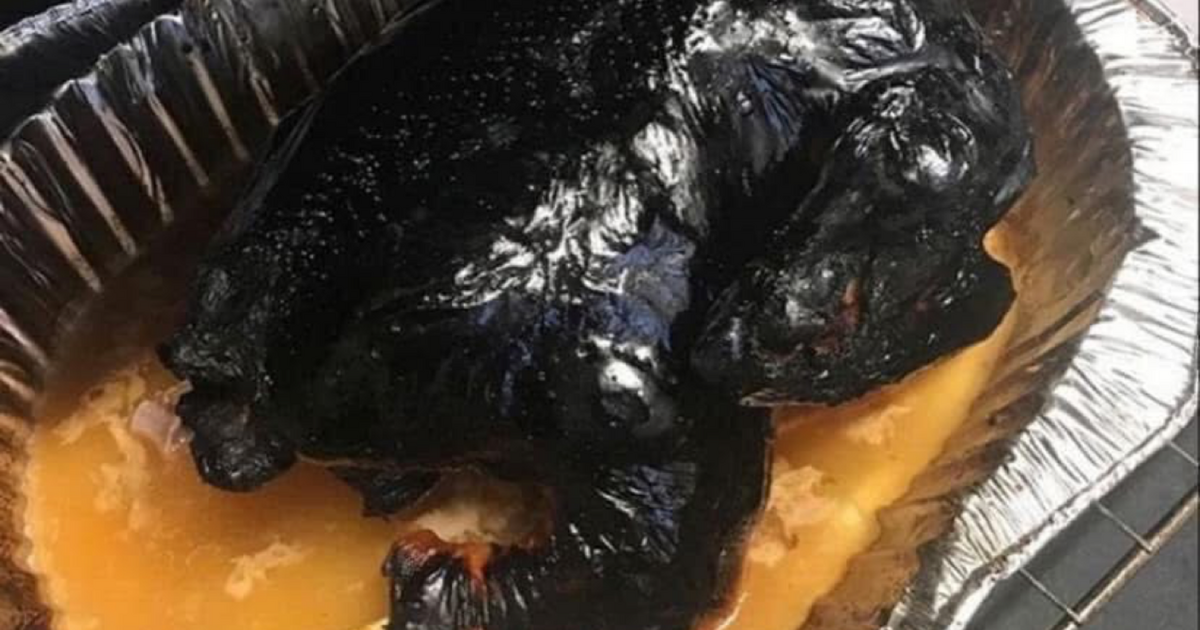 Burnt Turkey in Tray for $5 in Yuma, AZ | For Sale & Free — Nextdoor