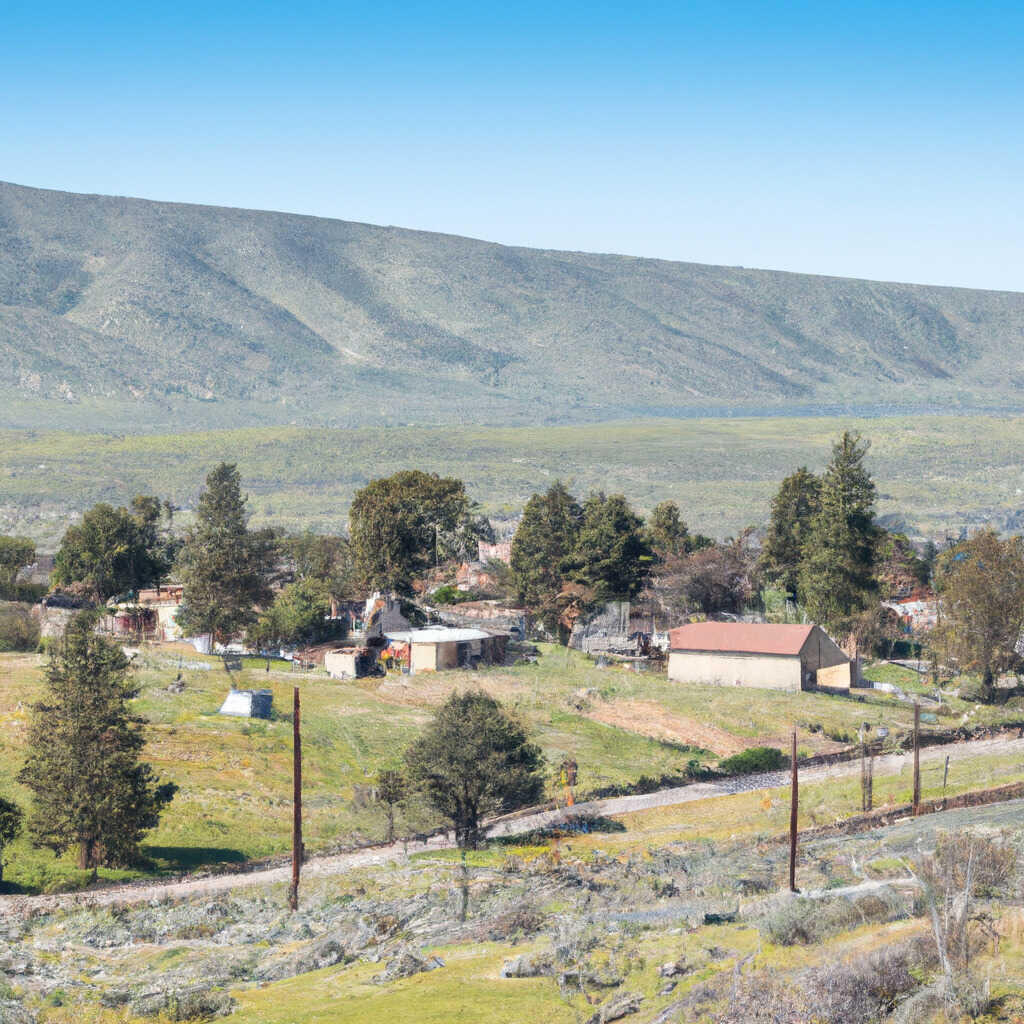 Ponderosa Heights, Manton | News, Crime, Lost Pets, Free Stuff