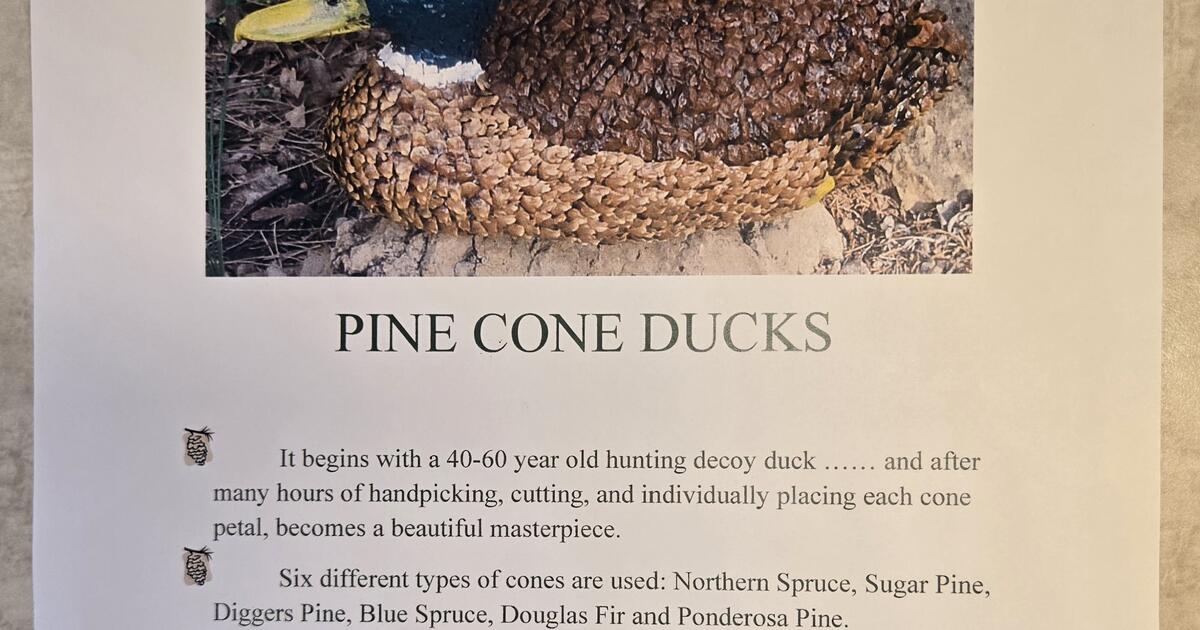 Pine Cone Duck for $100 in Sun City, AZ | For Sale & Free — Nextdoor