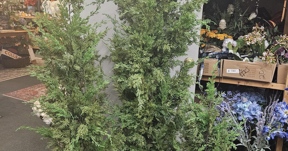 New Faux Juniper Trees for $300 in Westminster, CO | For Sale & Free ...