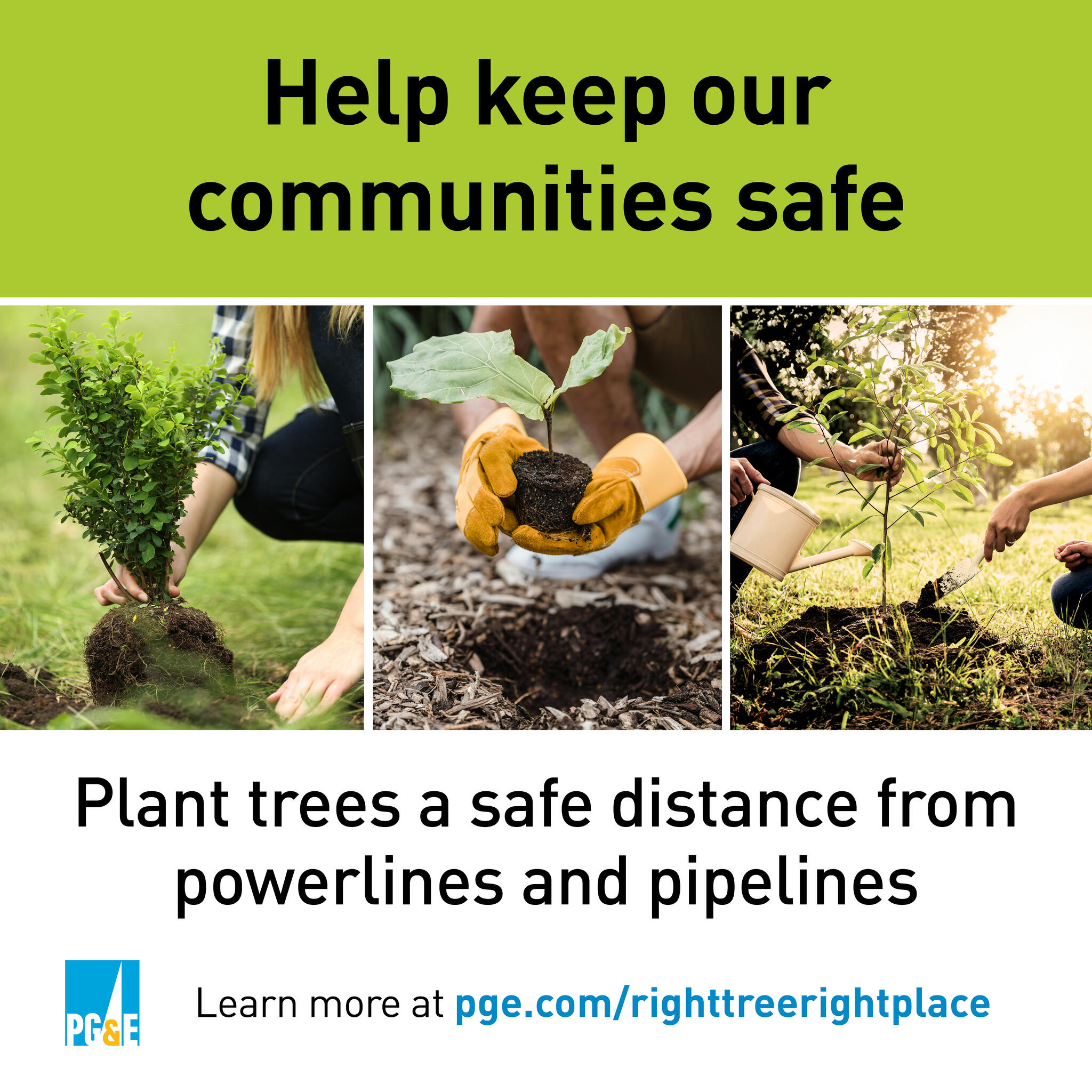 When trees or plants are too close to PG&E’s equipment, we may have to ...