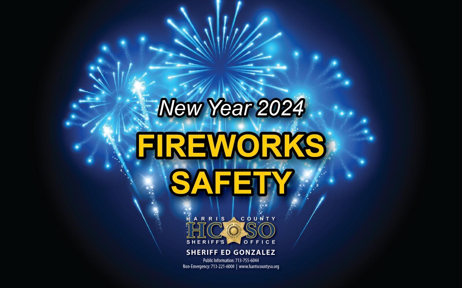 We all enjoy watching fireworks during New Year's celebrations. (Harris ...