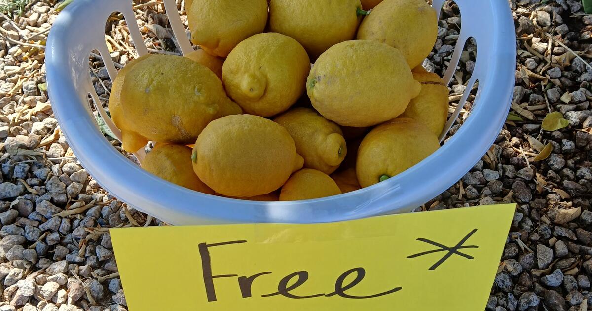 Free Lemons 🍋 ONLY. for Free in Apache Junction, AZ | For Sale & Free ...