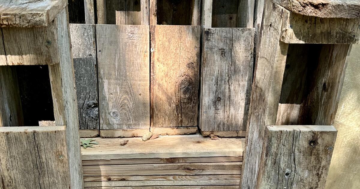 Screech Owl Boxes for $30 in Austin, TX | For Sale & Free — Nextdoor