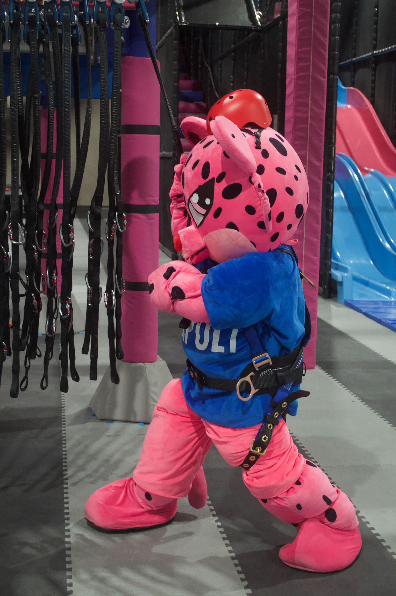 Catapult Adventure Park is now open! (City of North Richland Hills ...