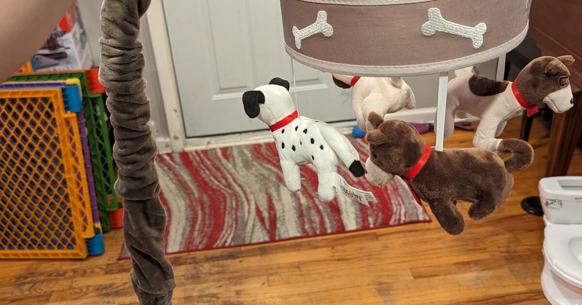 Puppy Mobile for Free in Berkley, MI | For Sale & Free — Nextdoor