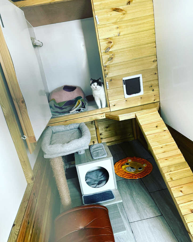 Cattery Fleur De Lys - Nextdoor