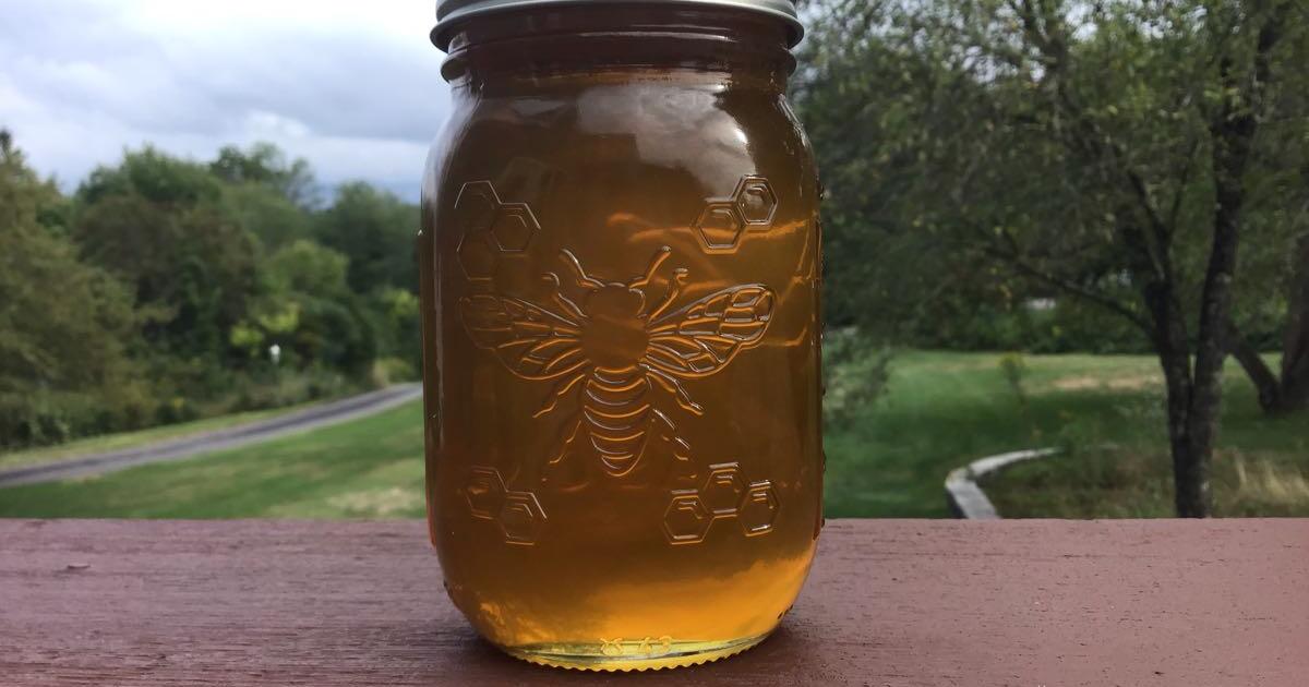 Fresh, Raw, Local, Spring Wildflower Honey for $12 in Littleton, MA ...