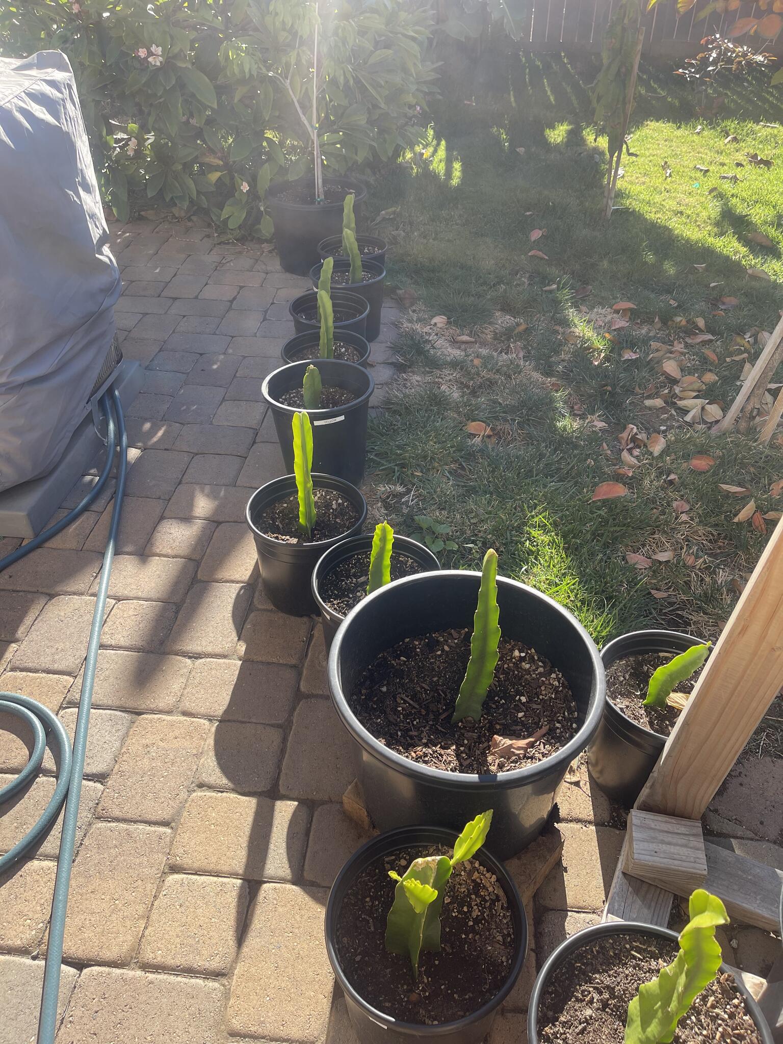 Scripps Ranch, San Diego | Trick or Treat Map and Everything You Need ...