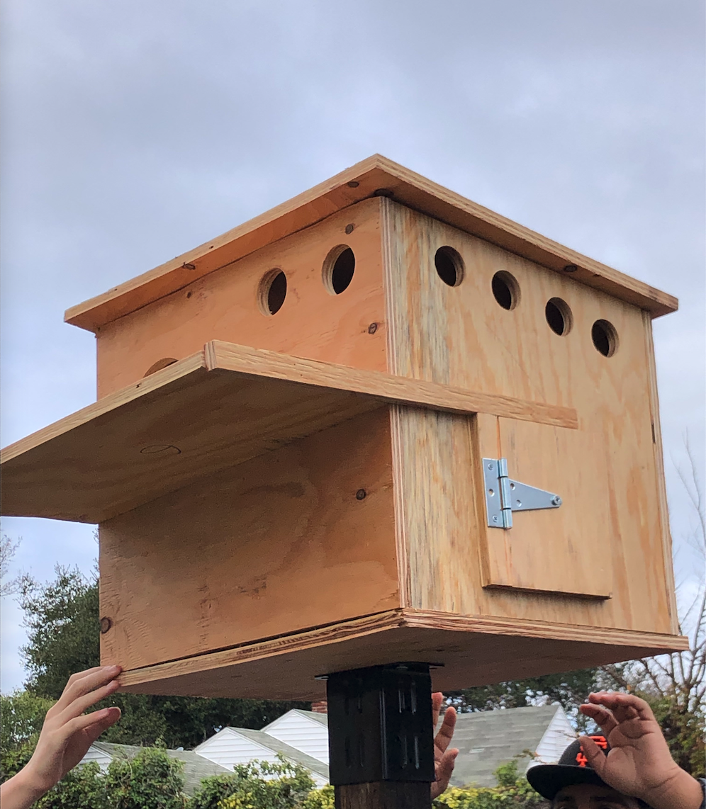 UC Davis Designed Owl Boxes for Sale! Locally Made. Asking $250 ...